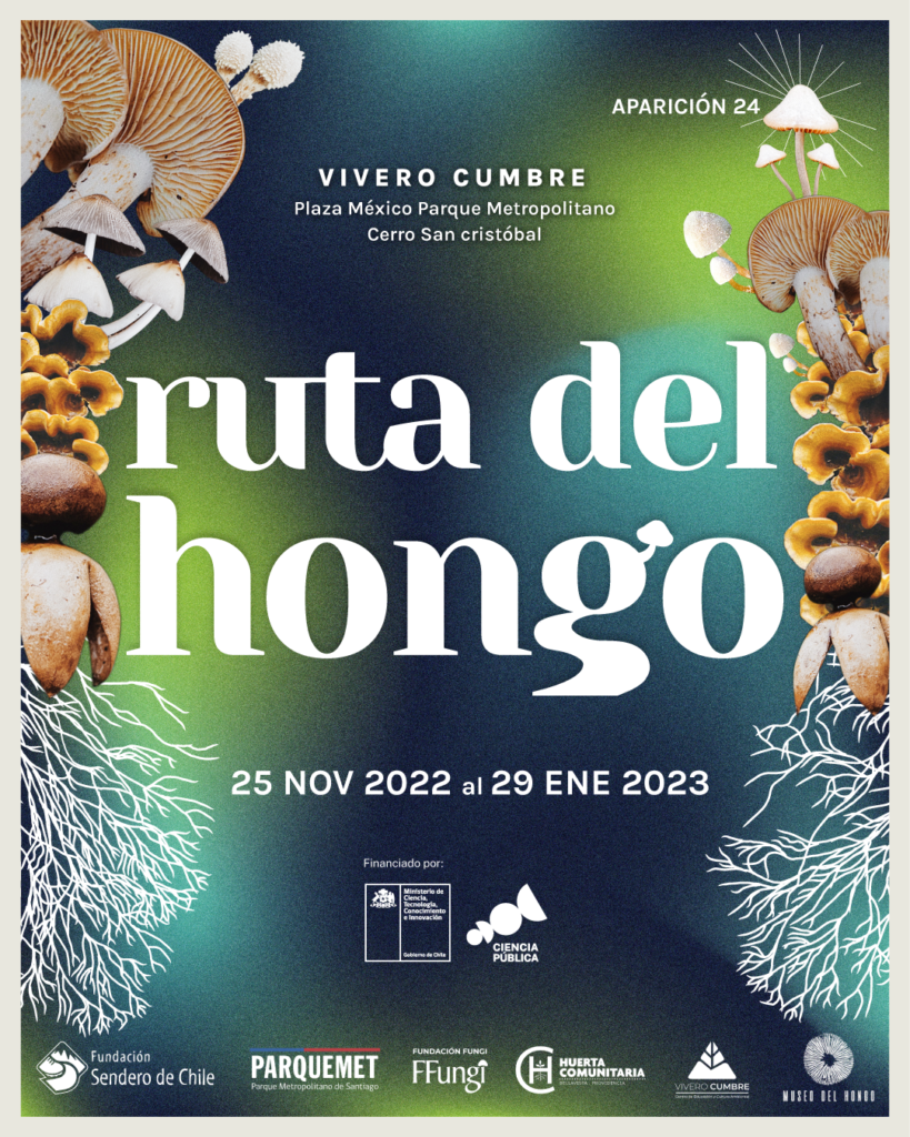 RUTA DEL HONGO - Museo del Hongo
